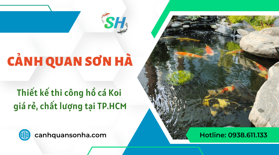 Thiết kế thi công hồ cá Koi giá rẻ tại TP.HCM