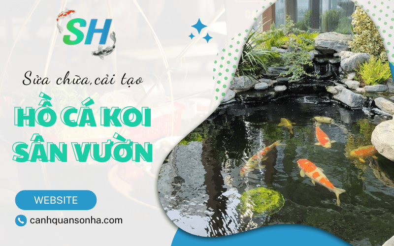 Dịch vụ sửa chữa, cải tạo, hồ cá Koi sân vườn